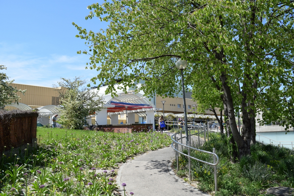 Interdisziplinäre Einrichtungen - Wiener Gesundheitsverbund - Klinik ...